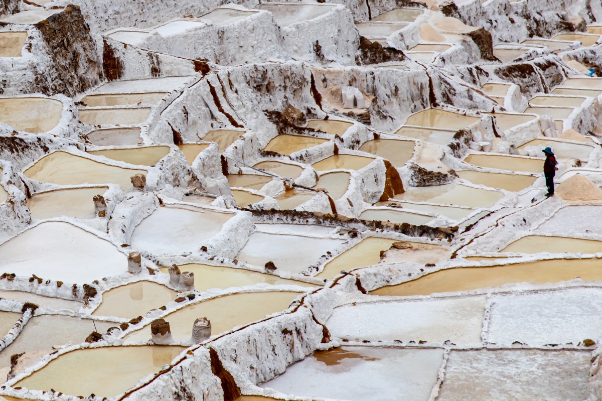 Salty Language – Swift Reflections